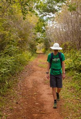 Moalepe Trail: Hiking Guide