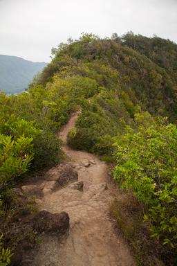 Wa'ahila Ridge: Hiking Guide
