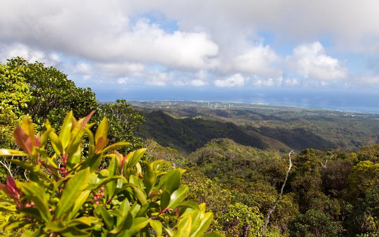 Pupukea Summit: Hiking Guide