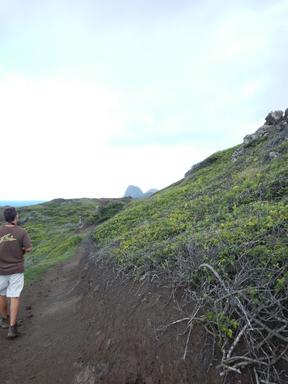 Ohai Loop Trail: Hiking Guide