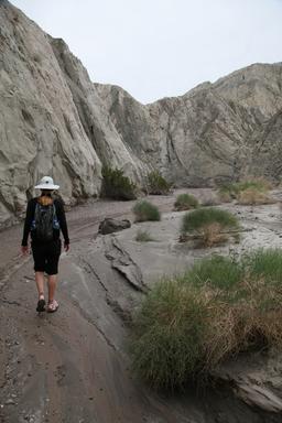 Coffee Bean Canyon: Hiking Guide