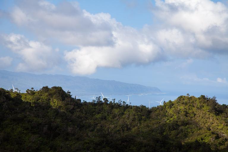 Pupukea Summit: Hiking Guide