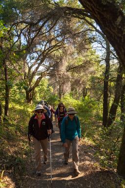 Wunderlich Park: Hiking Guide
