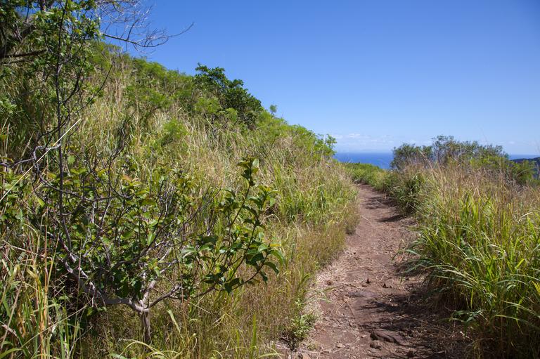 Kaluanui Ridge: Hiking Guide