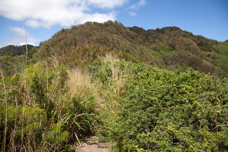 Kaluanui Ridge: Hiking Guide