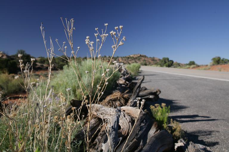 Alcove Spring: Hiking Guide