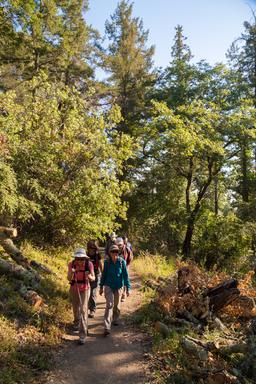 Wunderlich Park: Hiking Guide