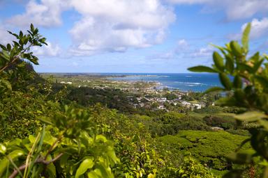 Waimano Pools: Hiking Guide