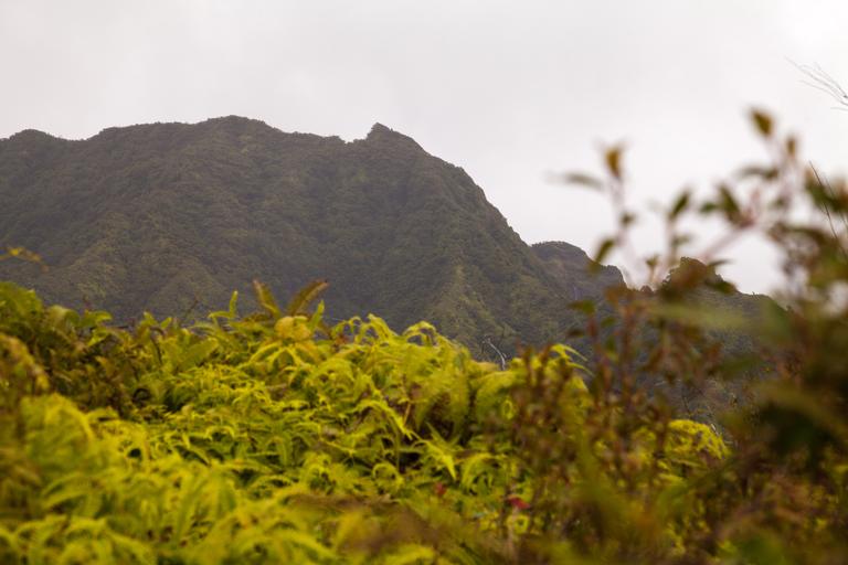 Moalepe Trail: Hiking Guide