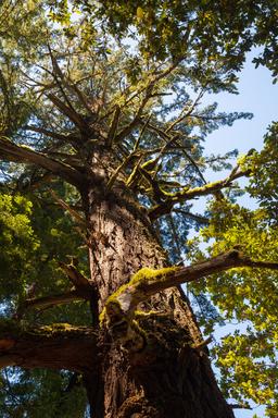 Wunderlich Park: Hiking Guide