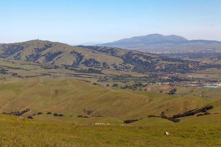 Mission Peak from Sunol Valley: Hiking Guide