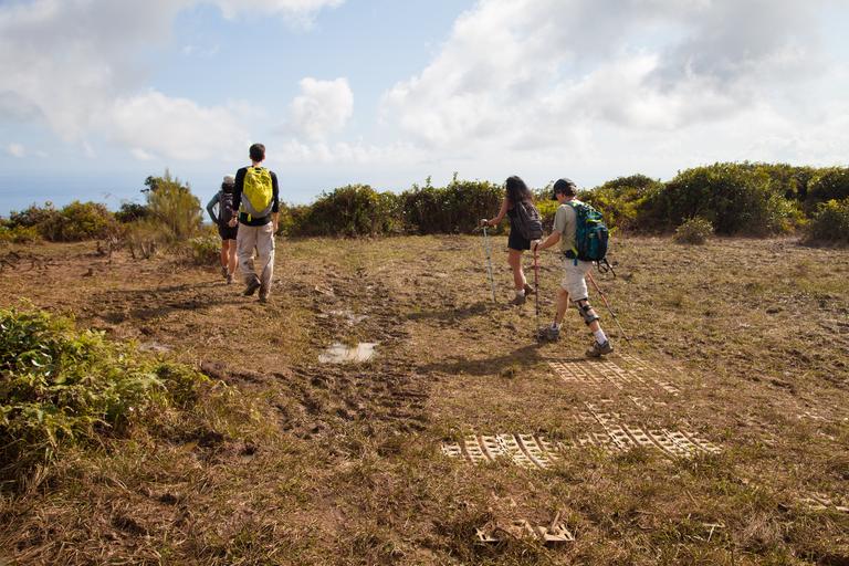 Pupukea Summit: Hiking Guide