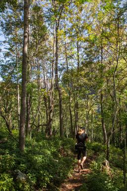 Kukui Trail: Hiking Guide