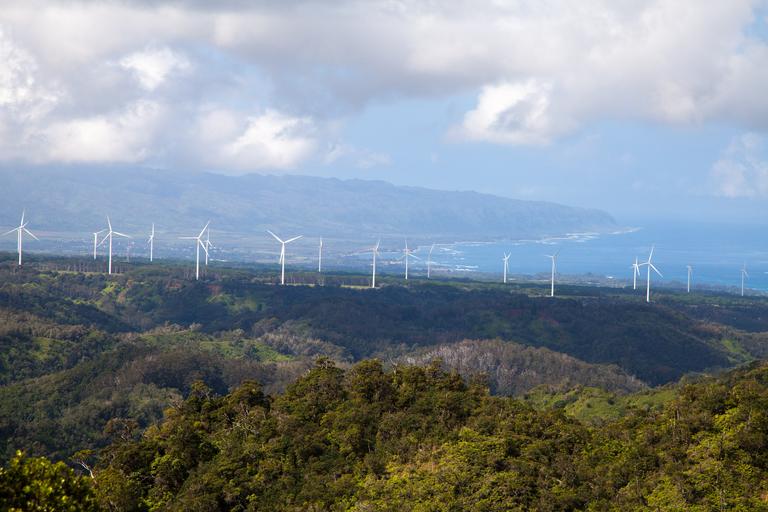Pupukea Summit: Hiking Guide