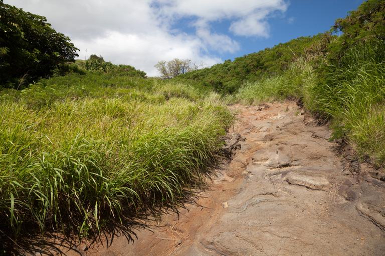 Kaluanui Ridge: Hiking Guide