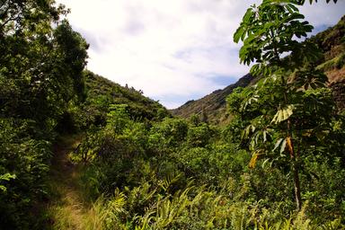 Waimano Pools: Hiking Guide