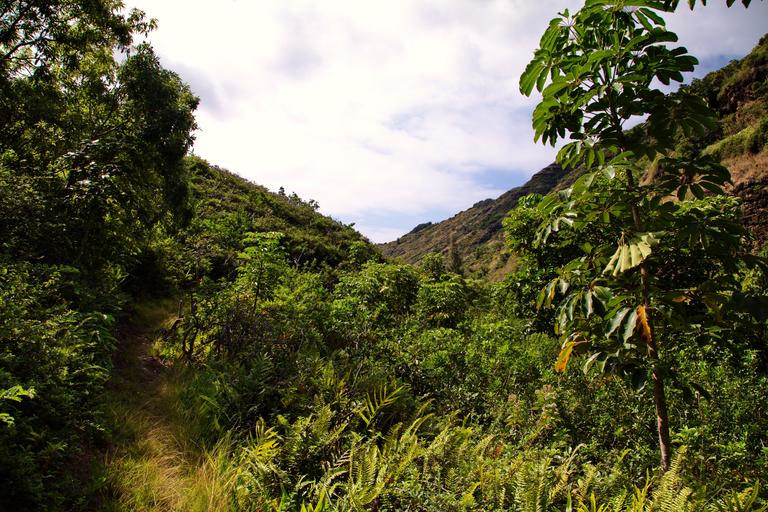 Pia Valley: Hiking Guide