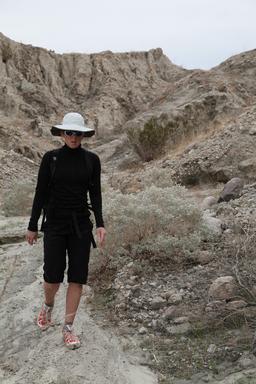 Coffee Bean Canyon: Hiking Guide