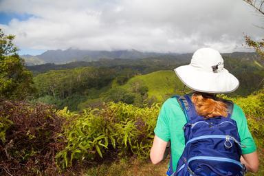 Moalepe Trail: Hiking Guide