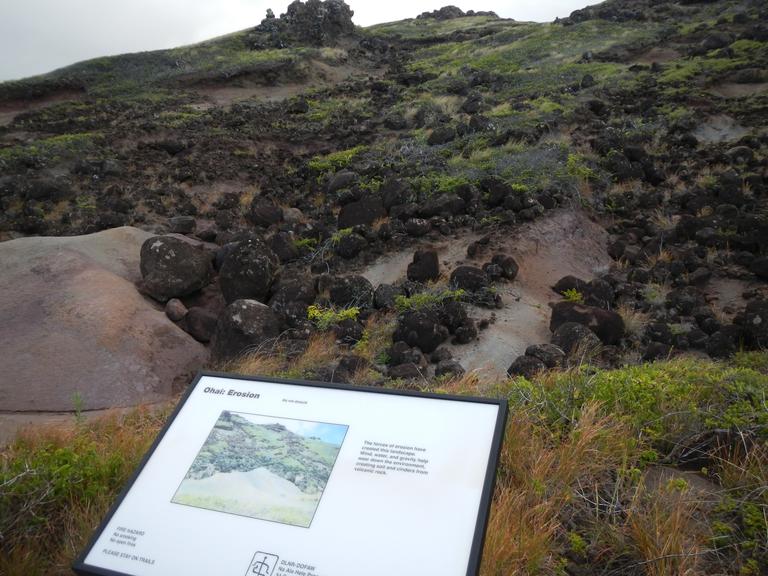 Ohai Loop Trail: Hiking Guide