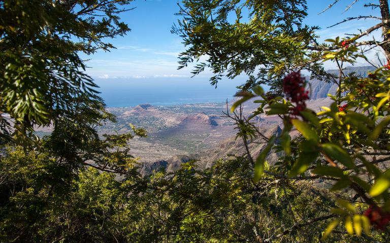 Pu'u Hapapa: Hiking Guide