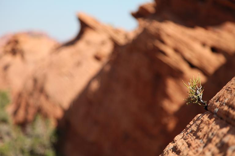 Mountain View Cave: Hiking Guide