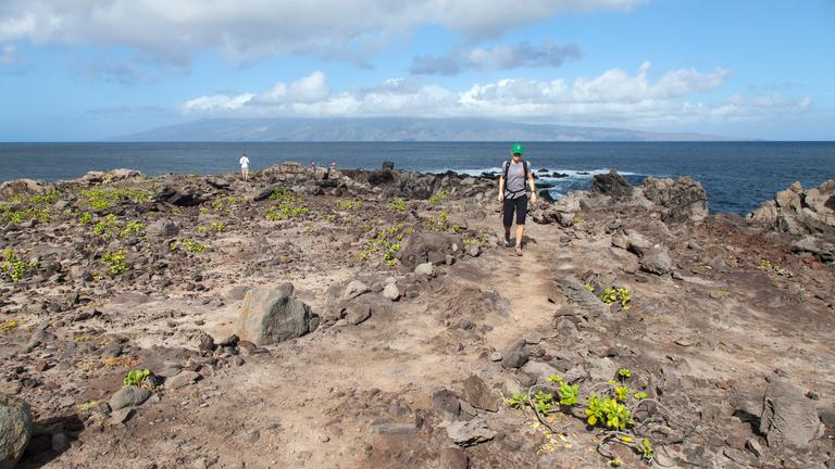 Kapalua Coastal Trail: Hiking Guide