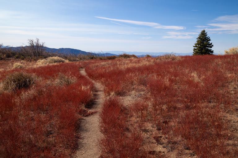PCT to Fobes Ranch: Hiking Guide