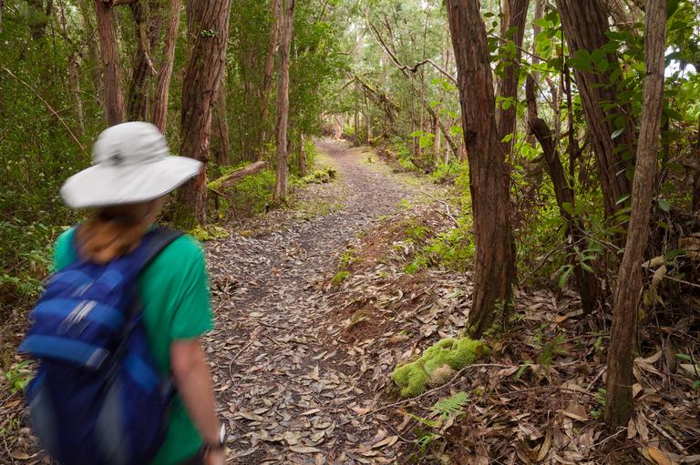 Moalepe Trail: Hiking Guide