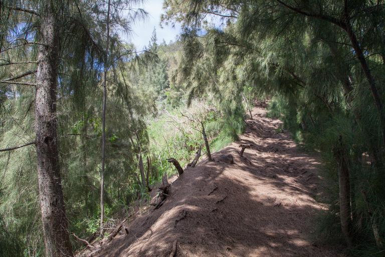 Kaluanui Ridge: Hiking Guide