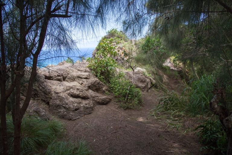 Kaluanui Ridge: Hiking Guide