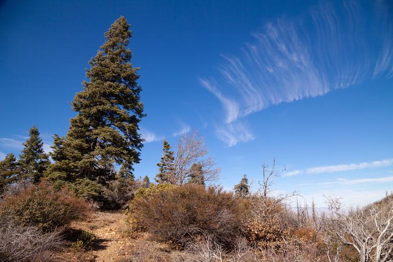 PCT to Fobes Ranch: Hiking Guide